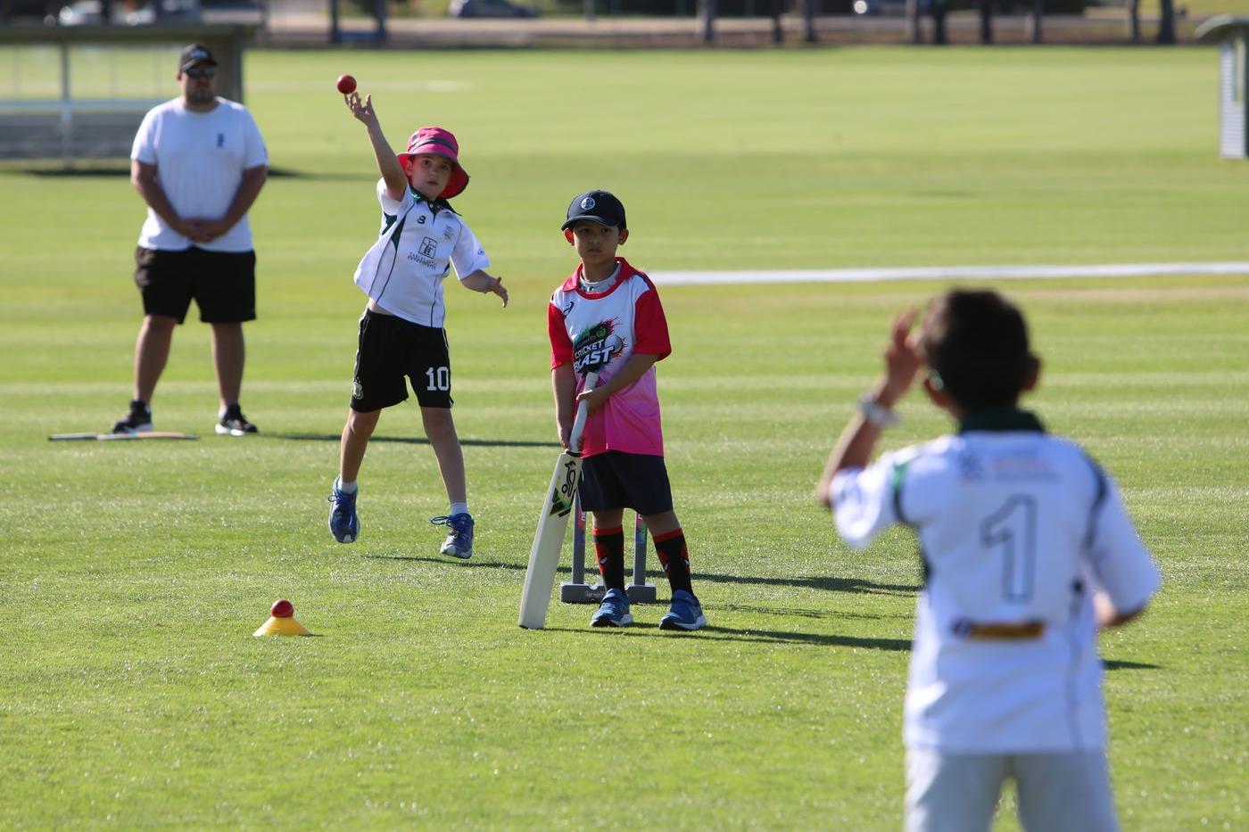 Cricket Blast action